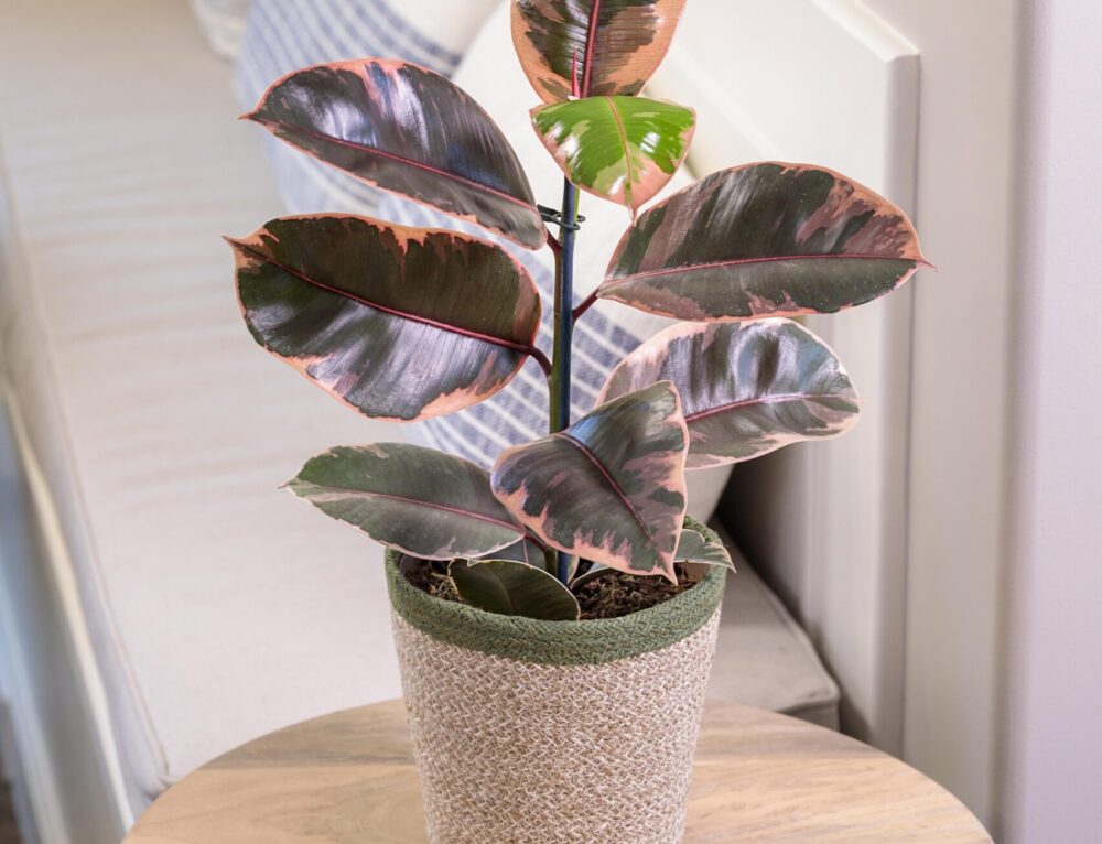 Best Practices For Collecting Cnc Machine Data With Ignition Innorobix