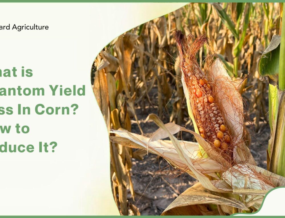 Best Practices For Collecting Cnc Machine Data With Ignition Innorobix